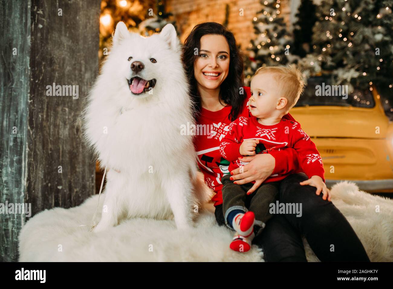 Mother and her son sit next to white samoyed dog and have a fun against ...