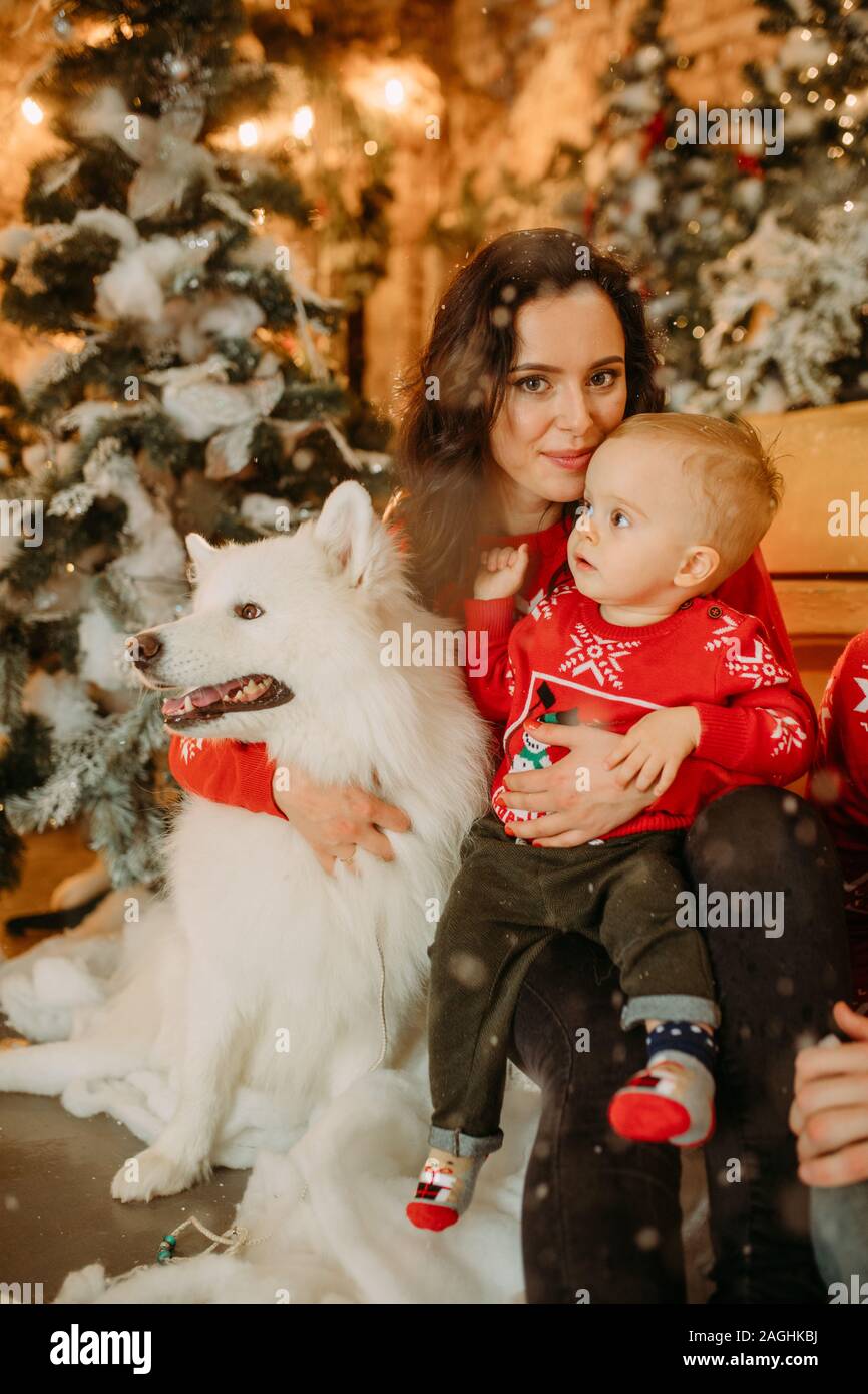 Mother and her son sit next to white samoyed dog against background of ...