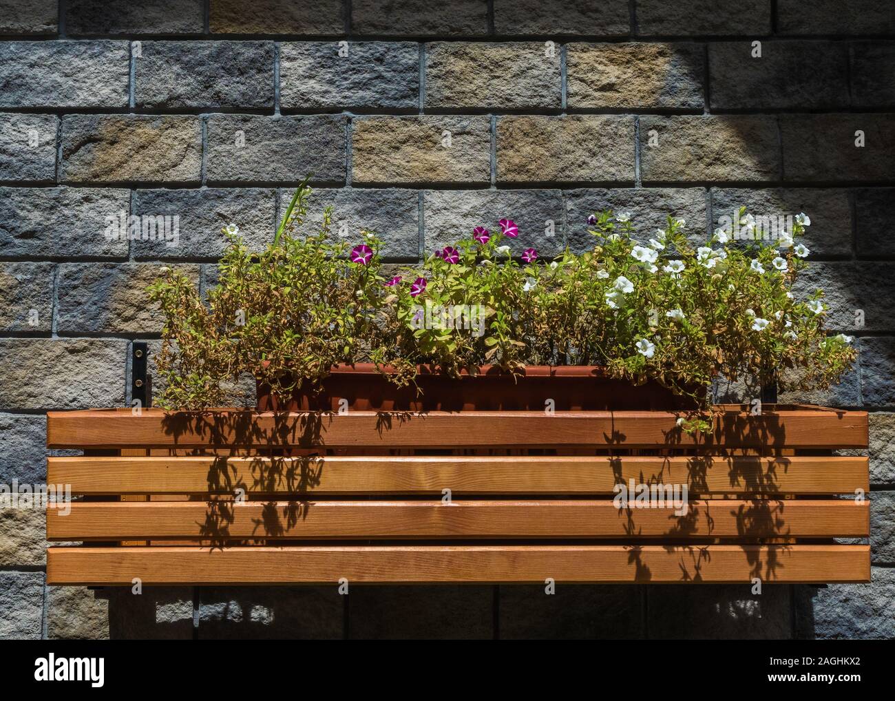 Decorative boxes with beautiful flowers on wall. Rosa Khutor Stock ...