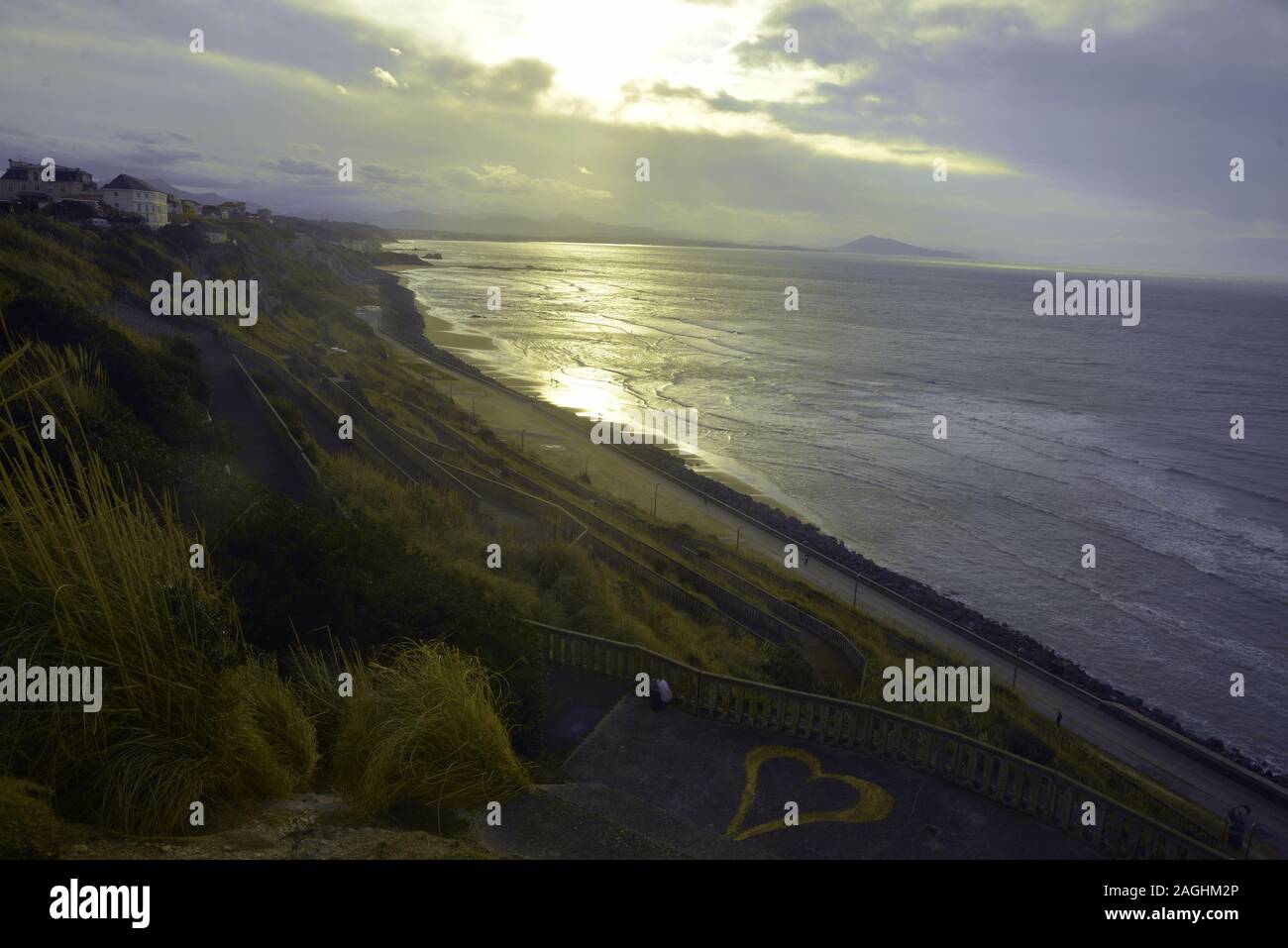 France: a winding path through greenery and tall grass leading down to ...