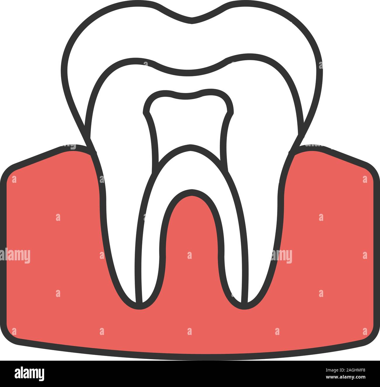 Tooth anatomical structure color icon. Tooth root and crown. Dentin ...