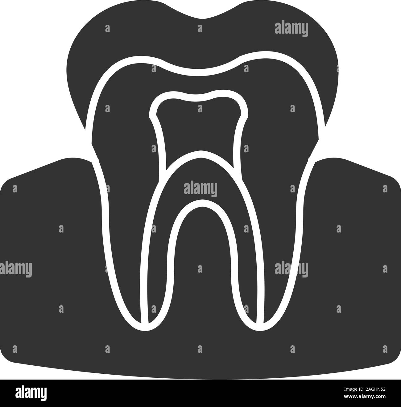 Tooth anatomical structure glyph icon. Silhouette symbol. Tooth root ...