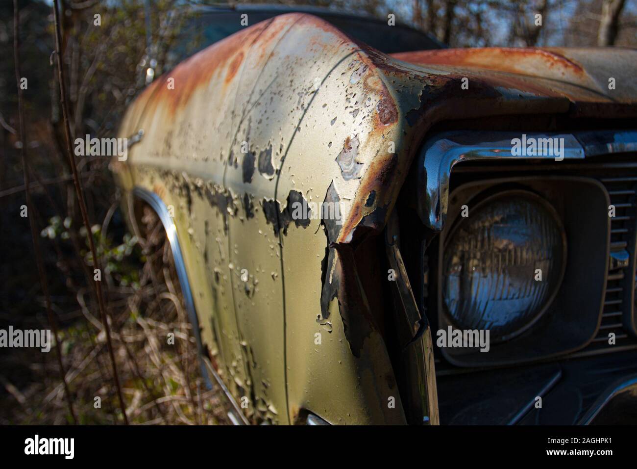 An abandoned rusted out car in the woods Stock Photo - Alamy