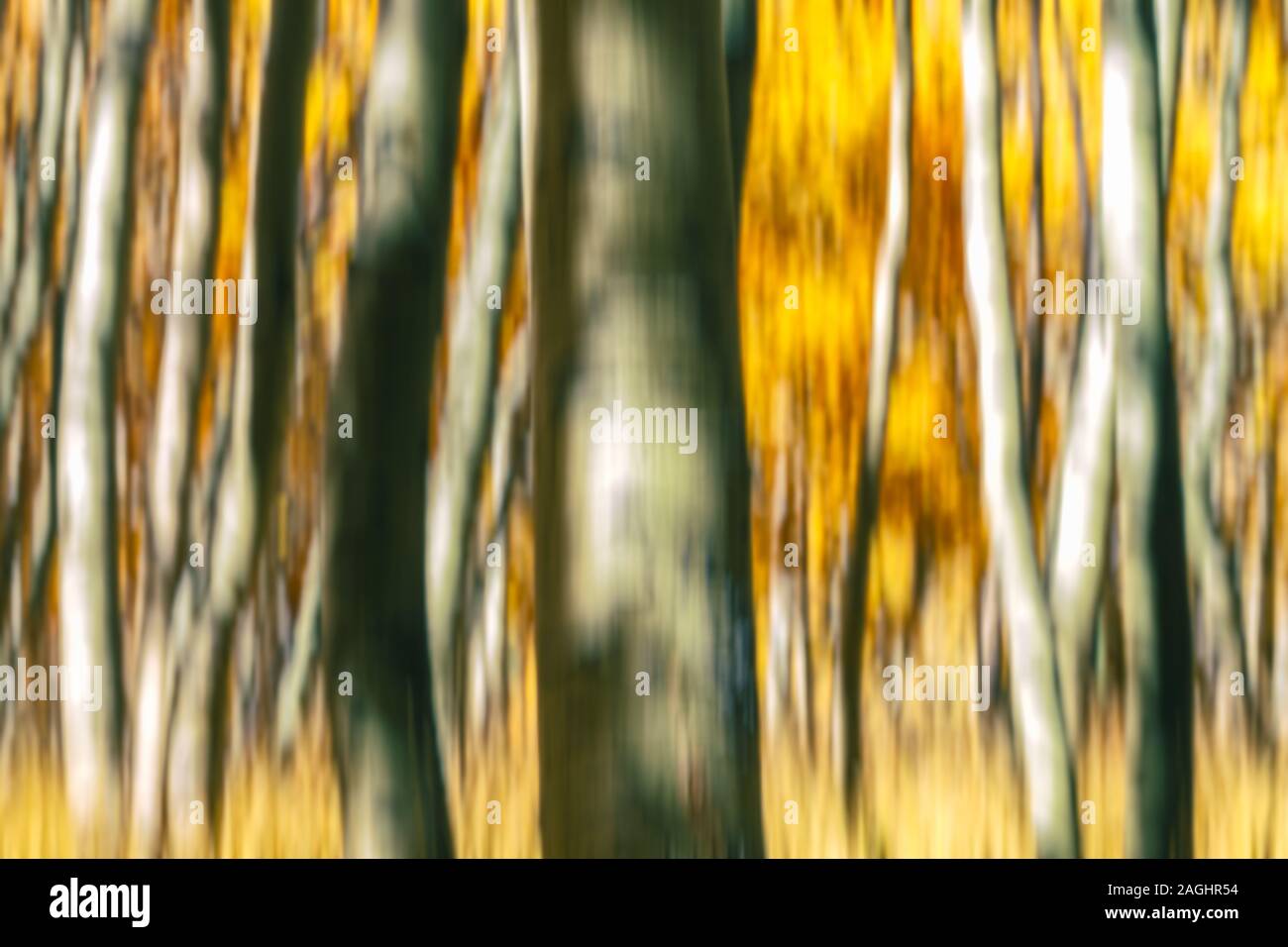 Camera panning hi-res stock photography and images - Alamy