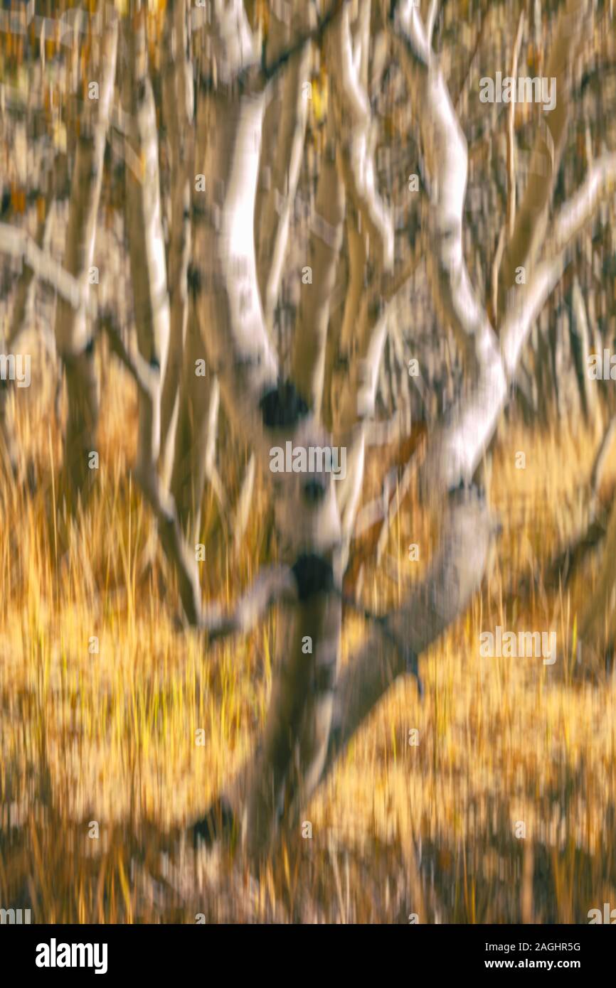 Camera panning hi-res stock photography and images - Alamy