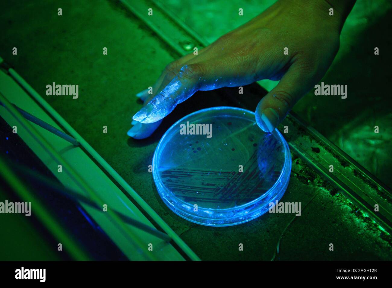 FBI Evidence Response Team Stock Photo - Alamy