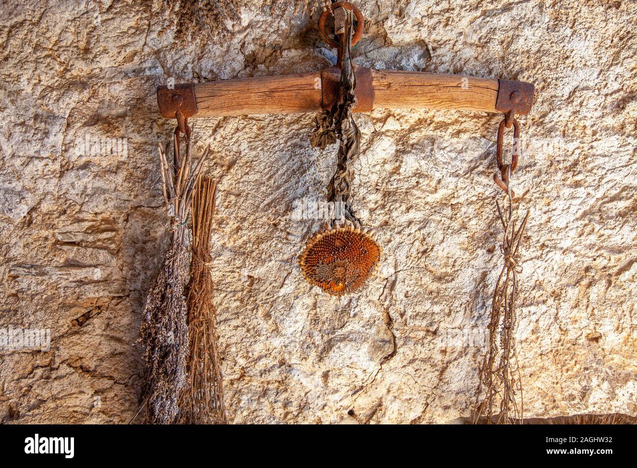 part of the ox carriage for to be attached to a chain for transport or ...