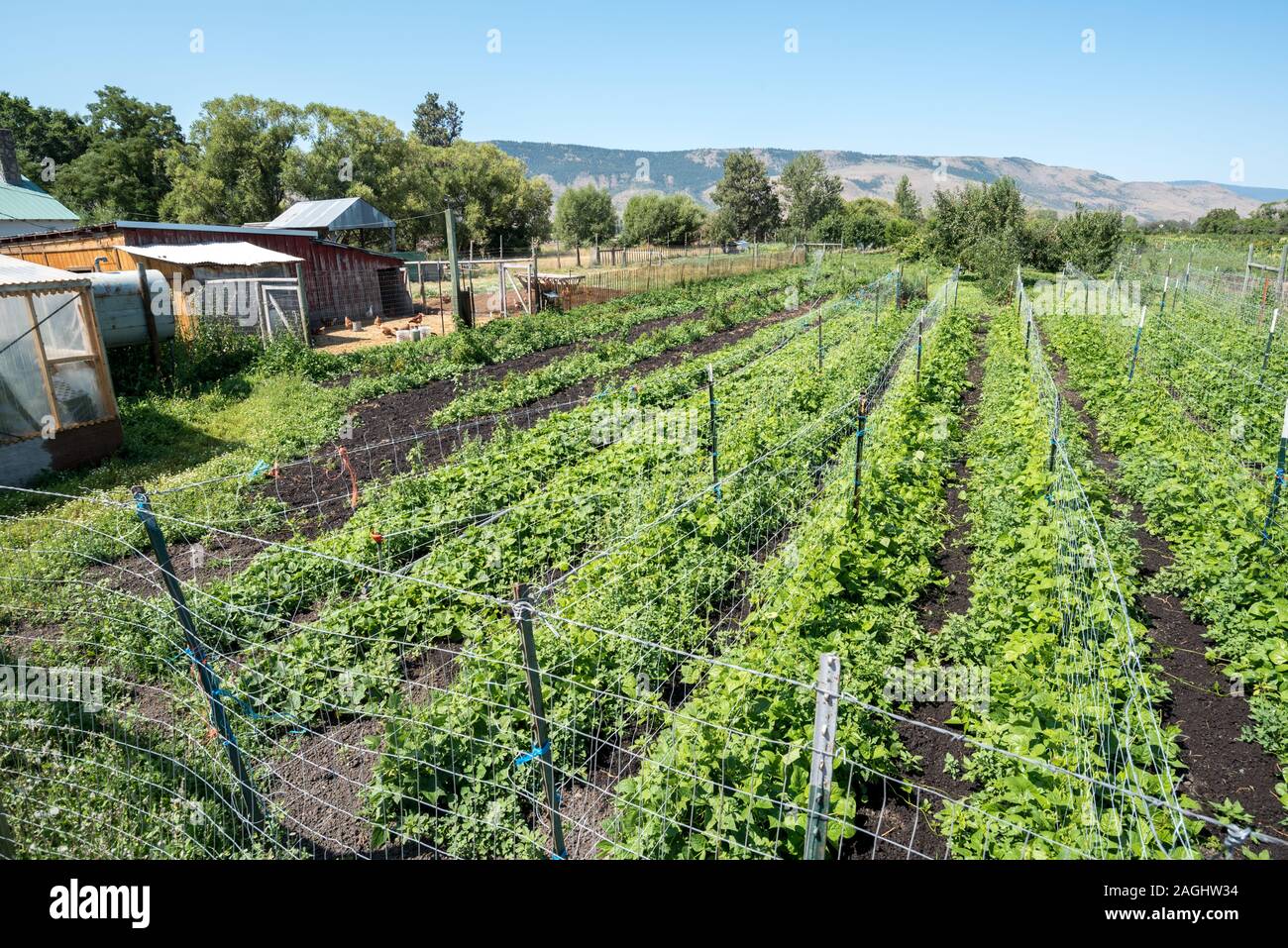 Family farm hi-res stock photography and images - Alamy