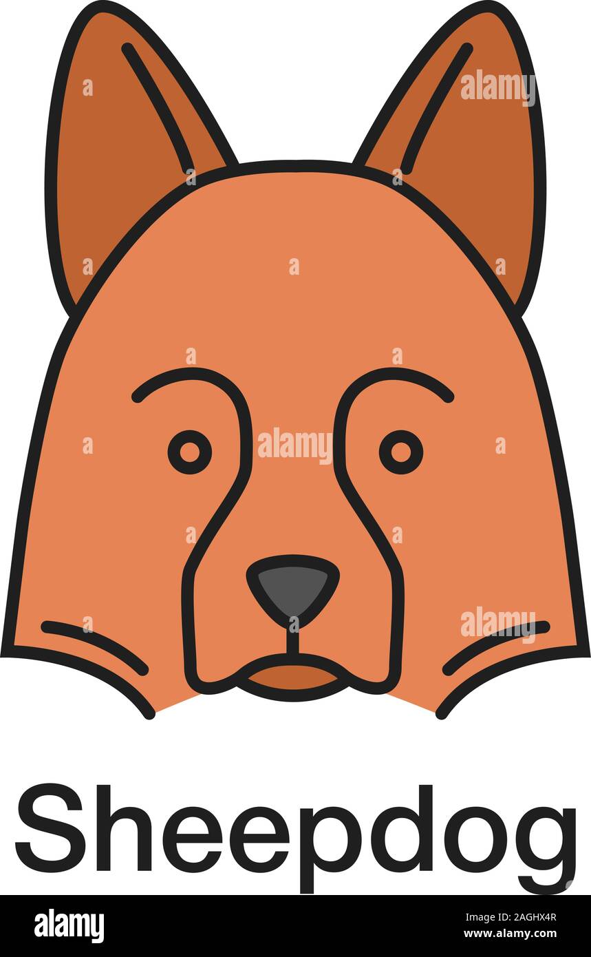 Shetland Sheepdog color icon. Herding dog. Isolated vector illustration ...