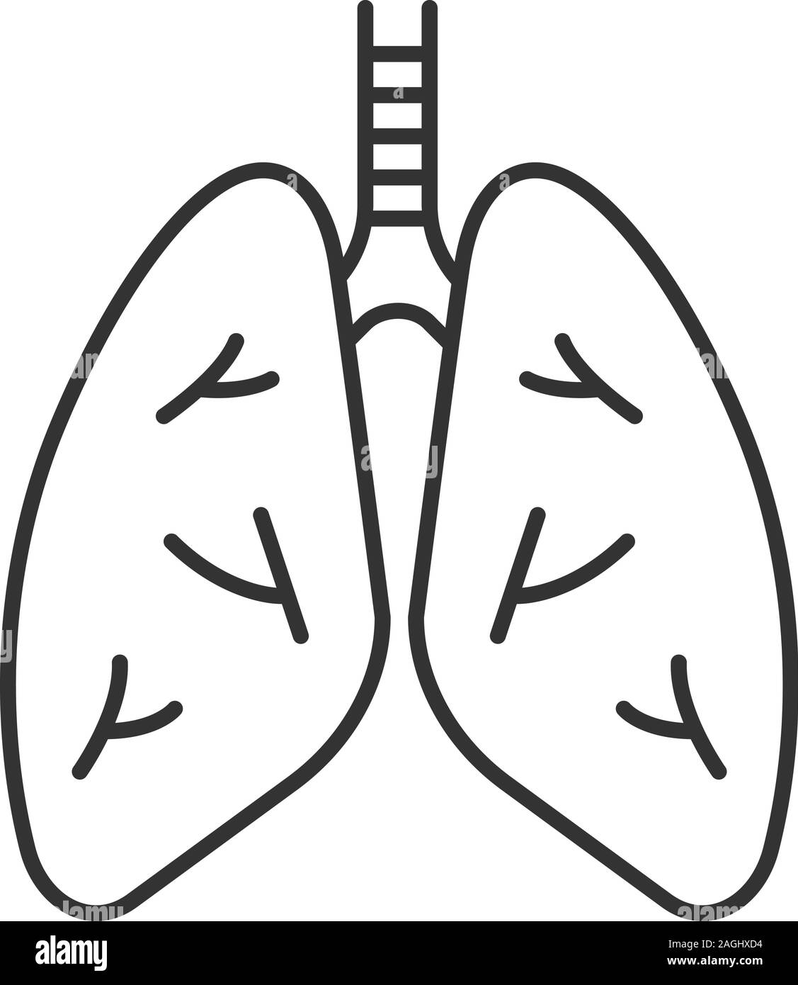 Human lungs linear icon. Thin line illustration. Respiratory system ...