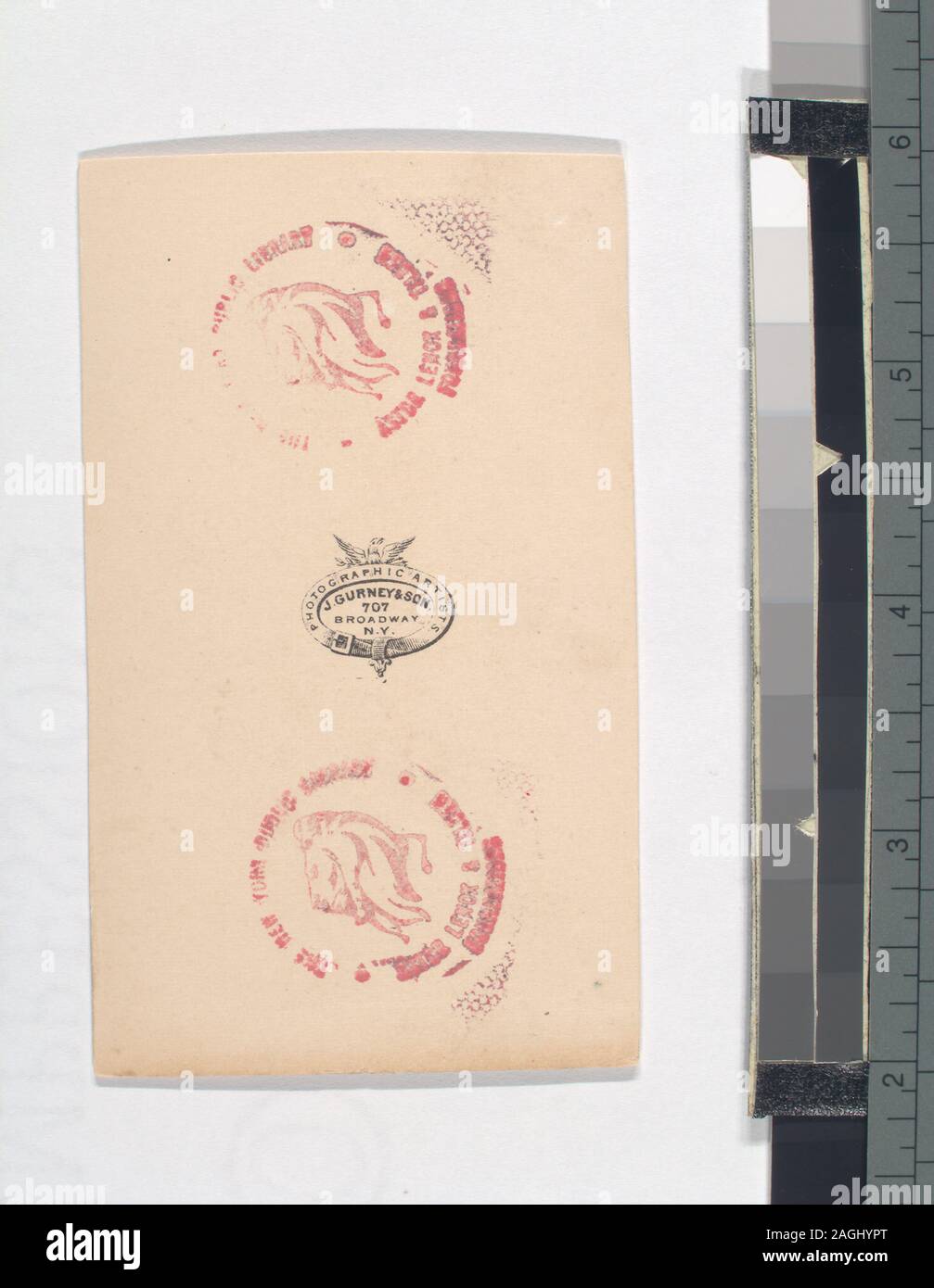 Louis Fox.; Louis Fox Stock Photo - Alamy