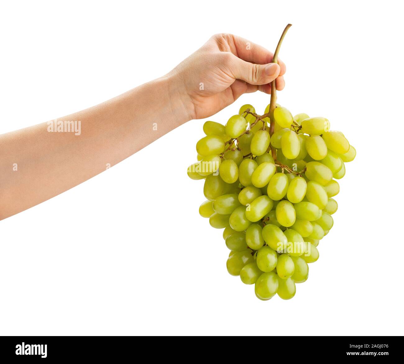 Bunch white grapes in green hi-res stock photography and images - Alamy