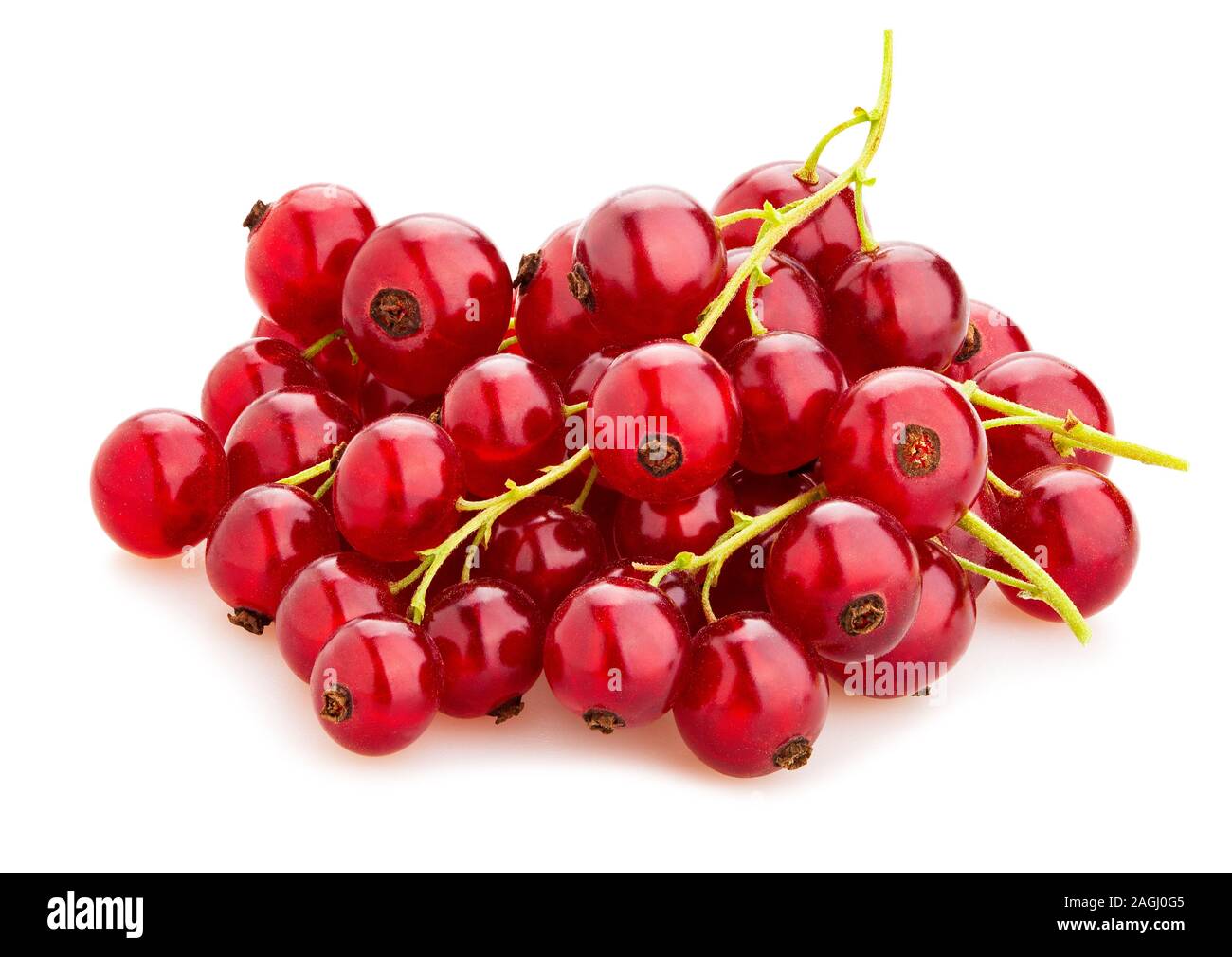 red current path isolated on white Stock Photo - Alamy
