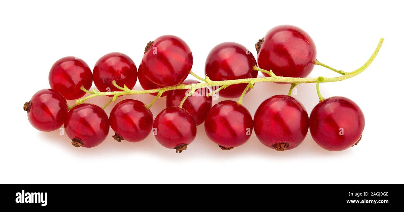 red current path isolated on white Stock Photo - Alamy