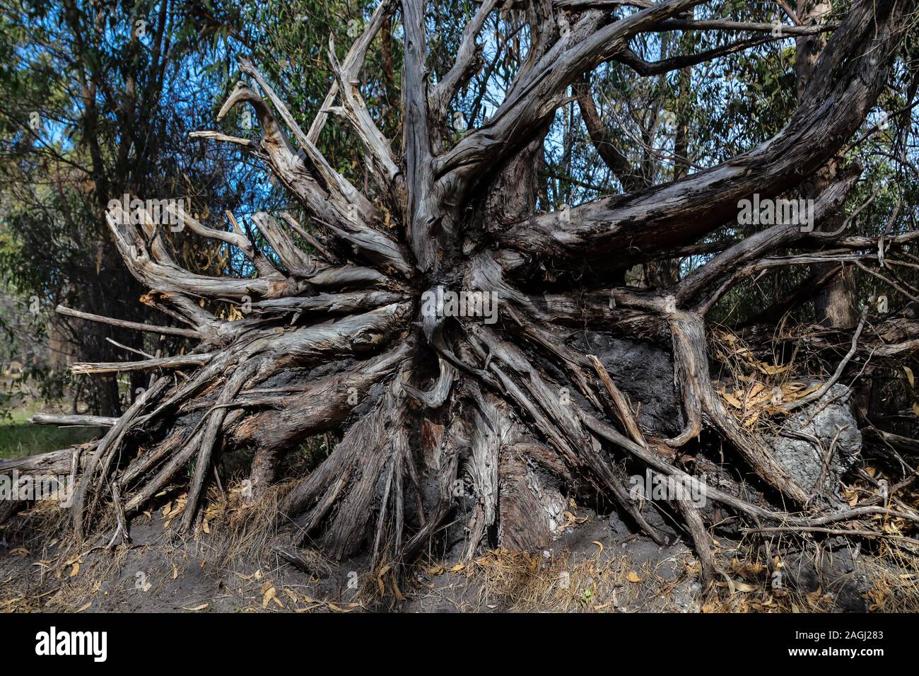 Breaking_ground hi-res stock photography and images - Alamy