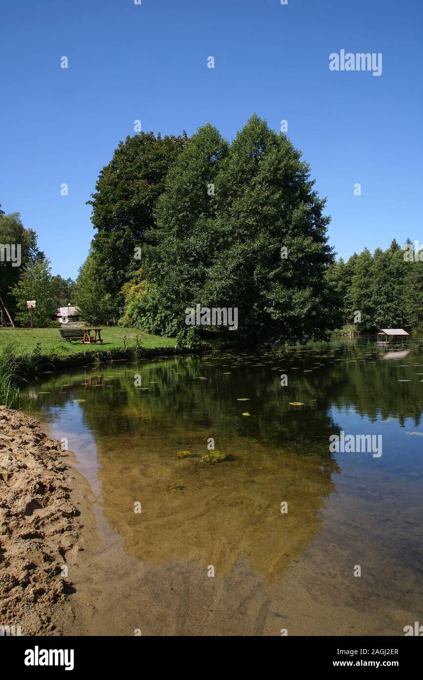 Sandy beach by the lake in the woods Stock Photo - Alamy