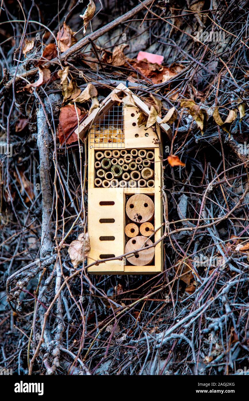 Small insect hotel attached to a wall, Stockholm, Sweden Stock Photo ...