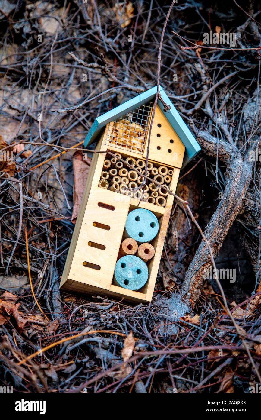 Bee hotel hi-res stock photography and images - Alamy