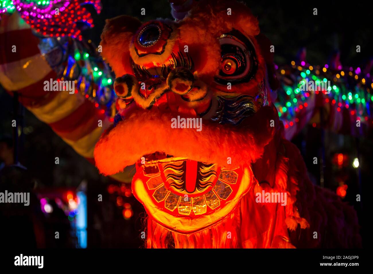 Chinese Lion During The Chinese New Year Celebrations Stock Photo - Alamy
