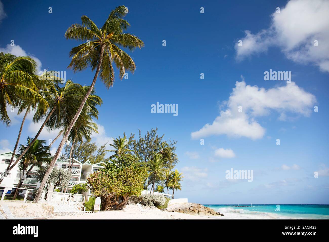 Summer on Barbados Island. Exotic vacations. Palm trees. Turquoise ...