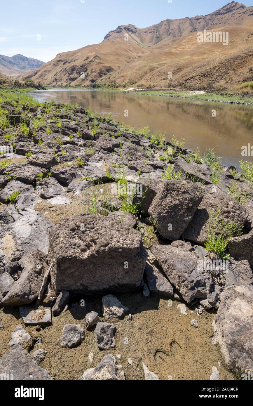Columnar basalt formation along Idaho's Lower Salmon River Stock Photo ...