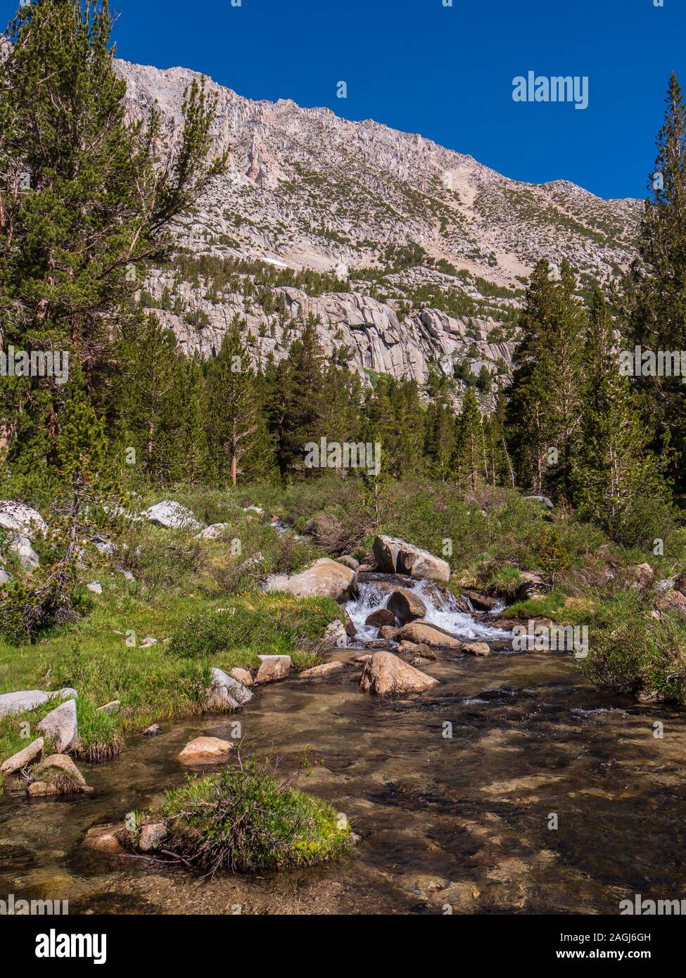 Inyo national forest hi-res stock photography and images - Alamy