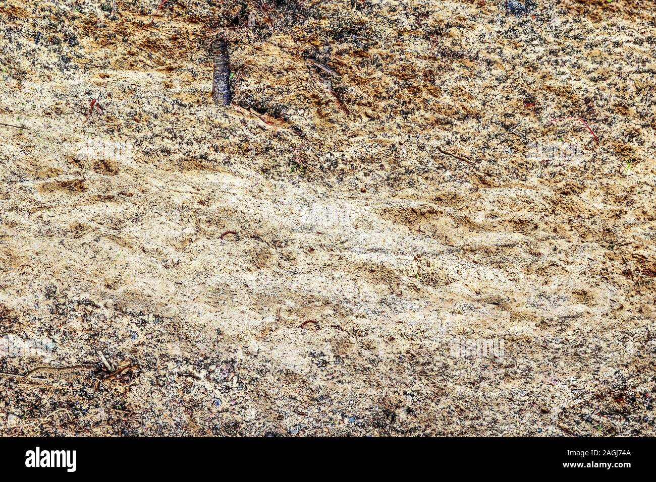 High resolution cork texture hi-res stock photography and images - Alamy