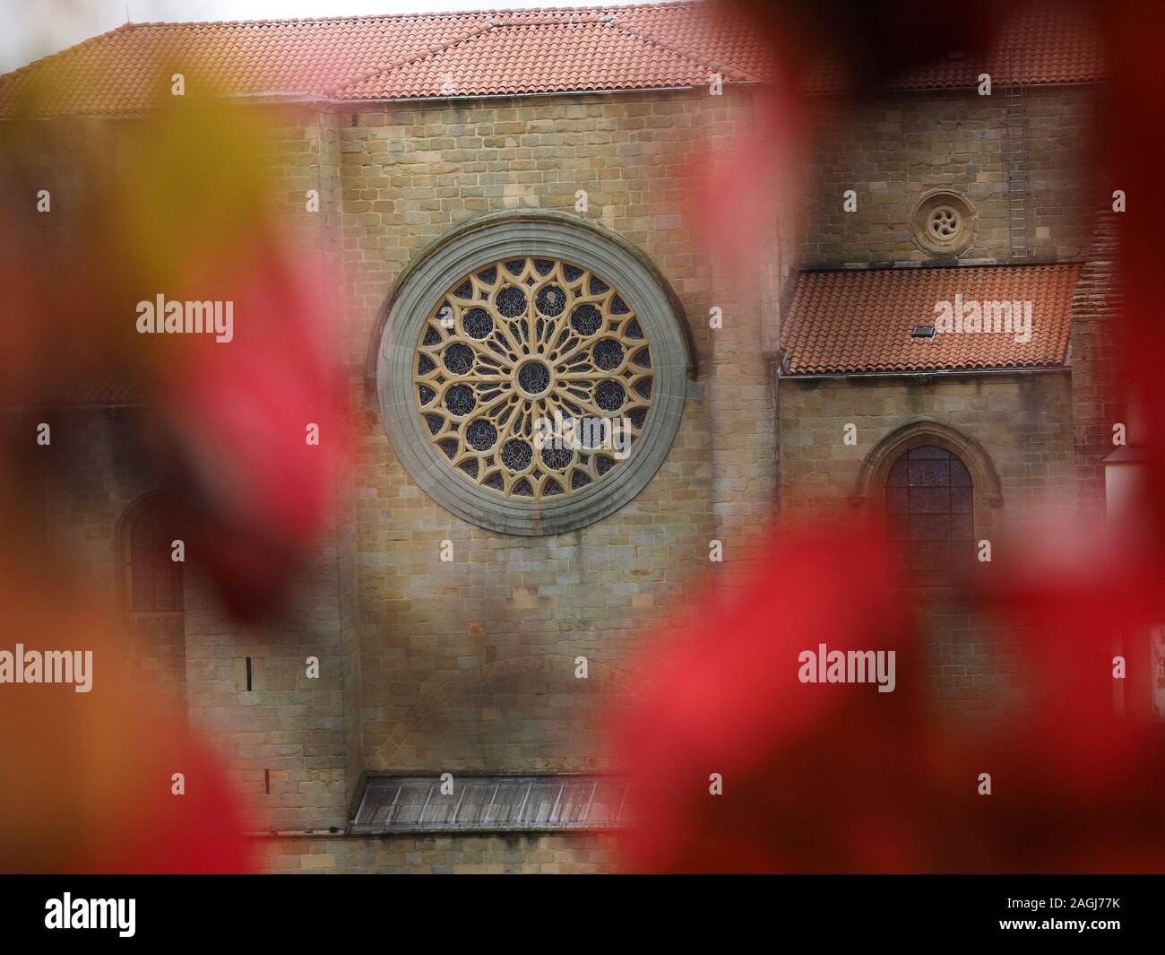 view through roses of rose window of 16th century Dominican convent ...