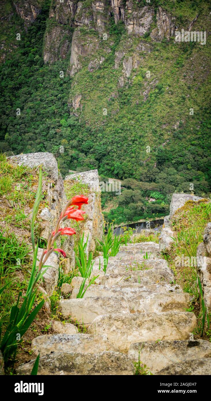 Inca architecture of the sacred valley of Machu Pichu, Cusco Peru Stock ...