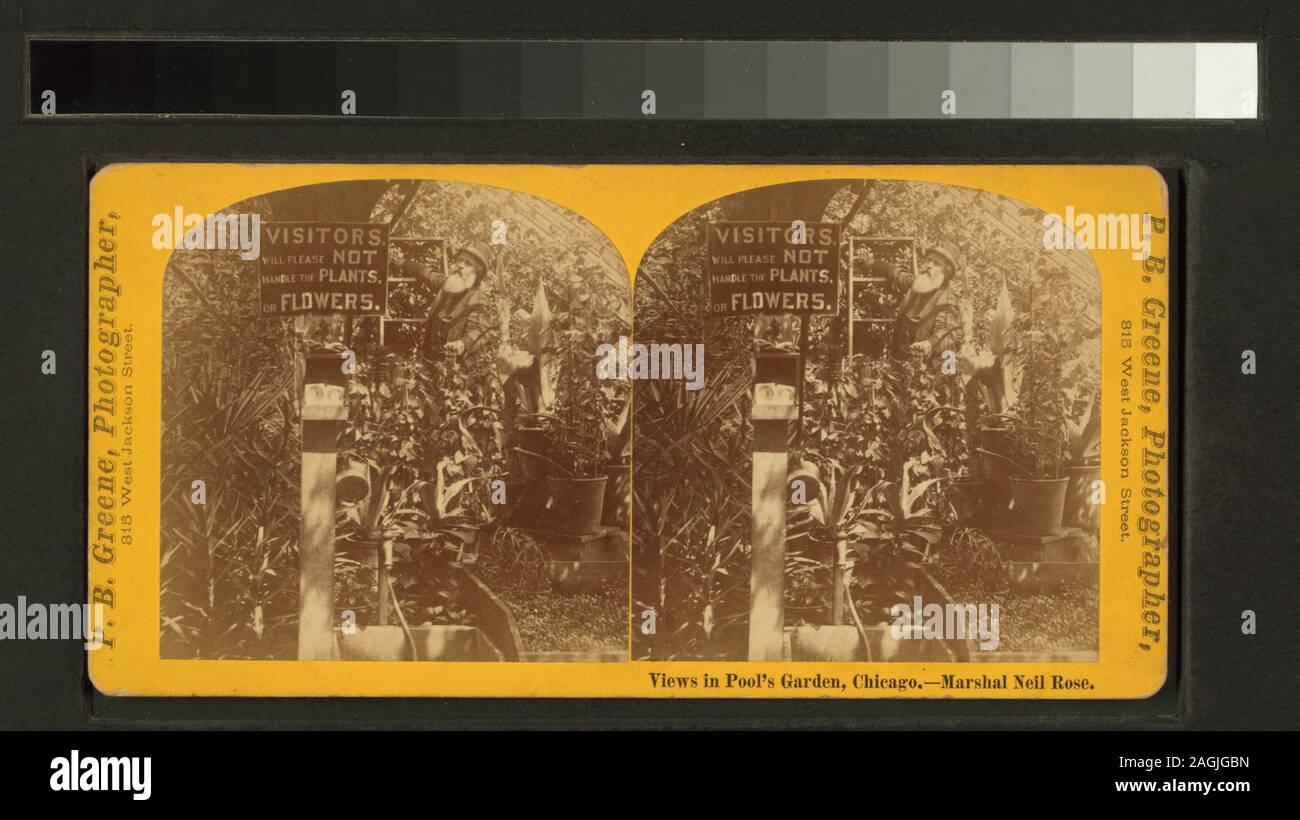 Marshal Neil Rose P.B. Greene.; Marshal Neil Rose Stock Photo - Alamy