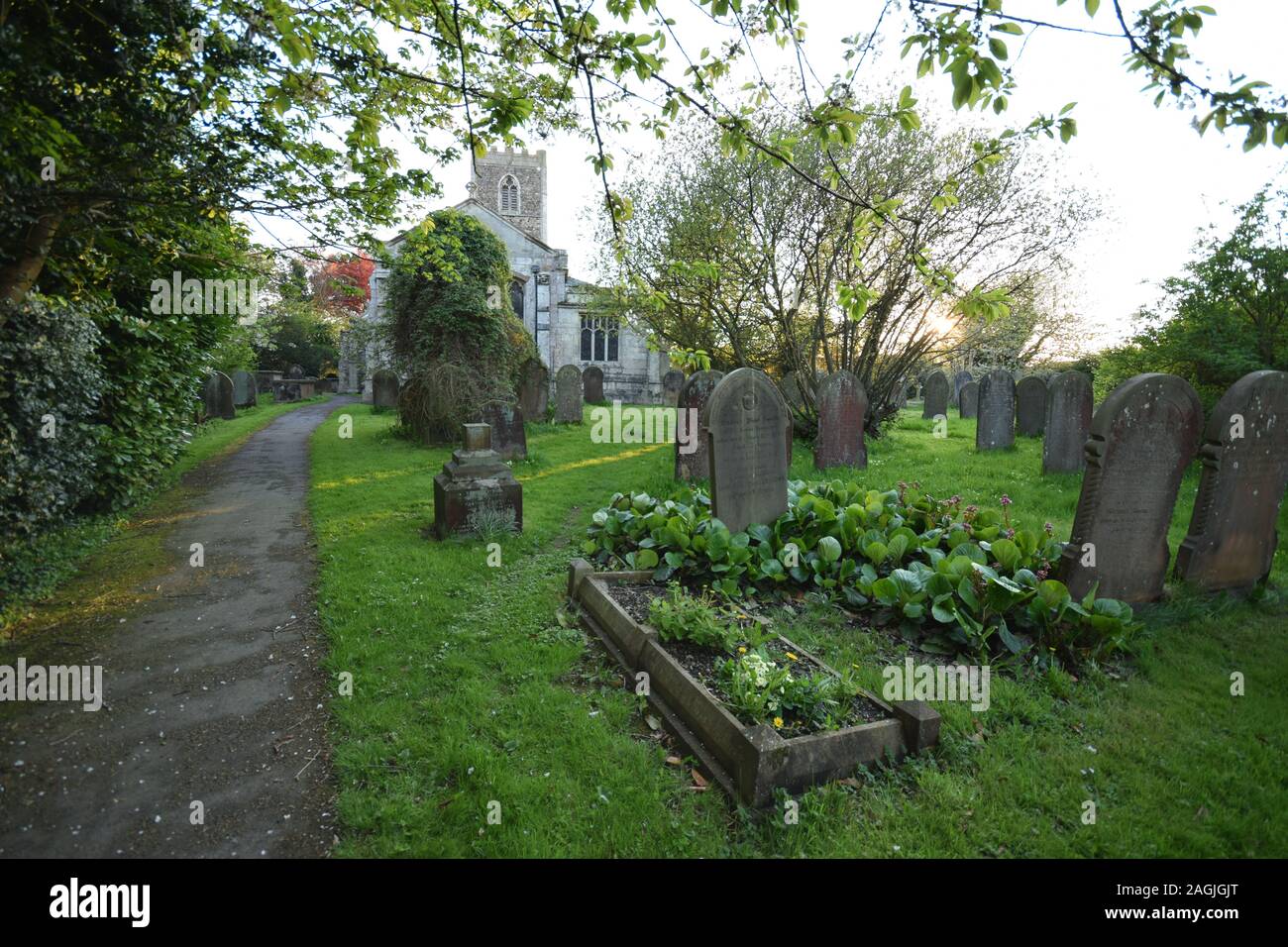 Burstwick hi-res stock photography and images - Alamy