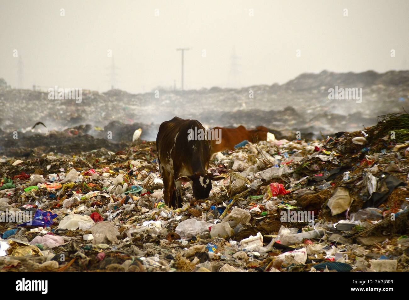 Big garbage land. Land and air pollution Stock Photo - Alamy