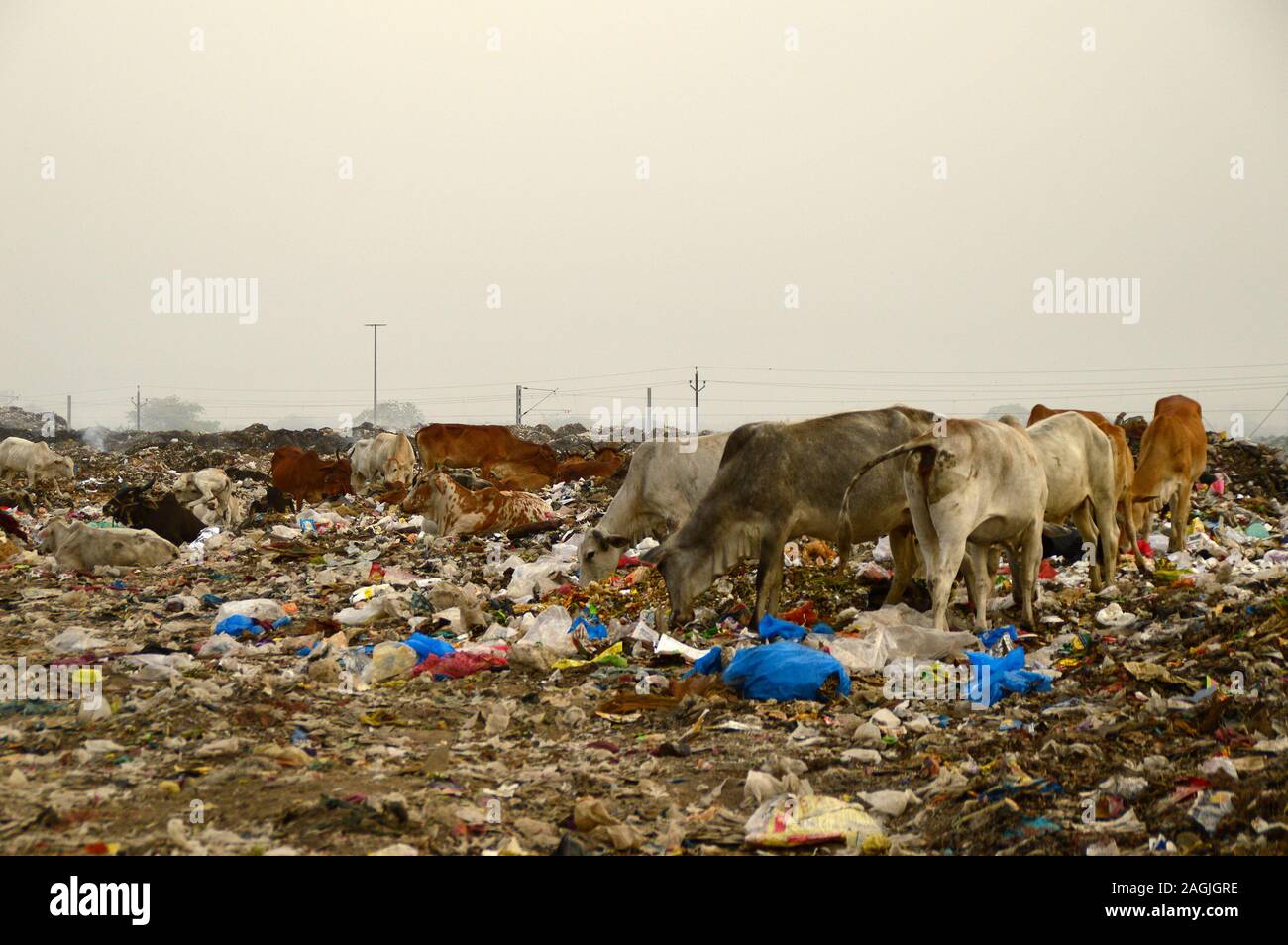 Big garbage land. Land and air pollution Stock Photo - Alamy