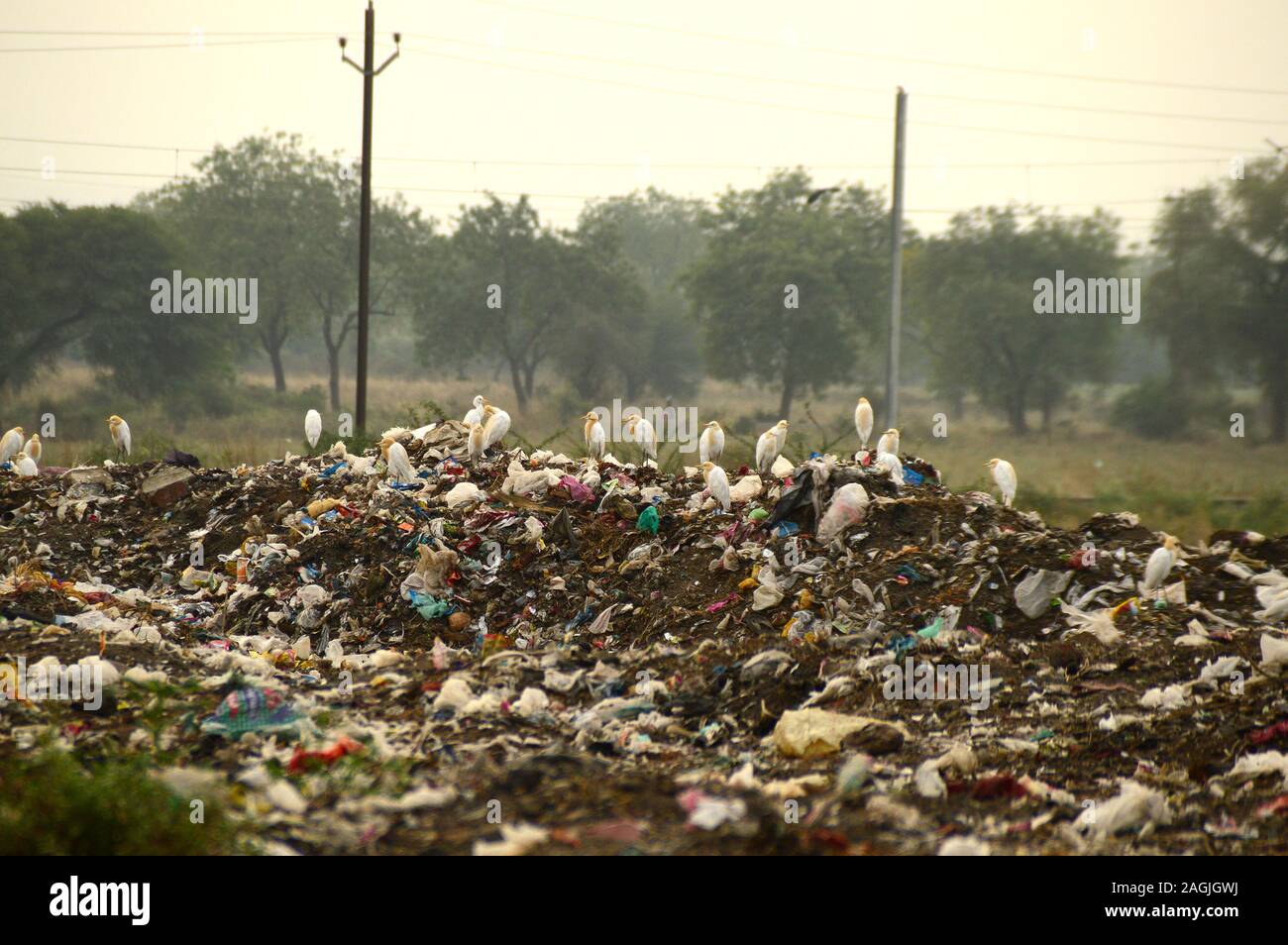 Big garbage land. Land and air pollution Stock Photo - Alamy