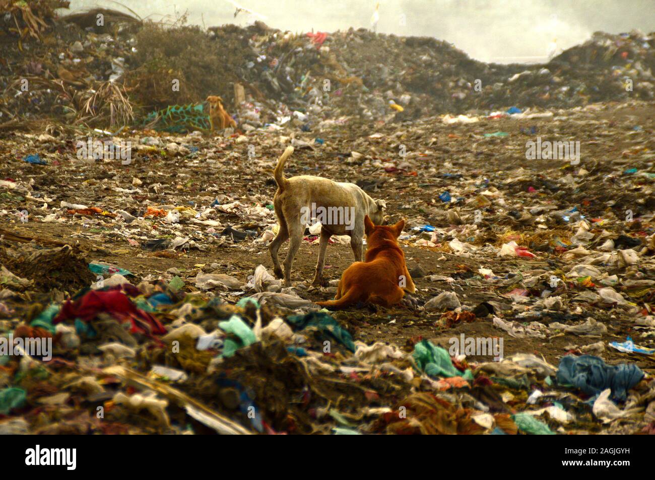 Big garbage land. Land and air pollution Stock Photo - Alamy