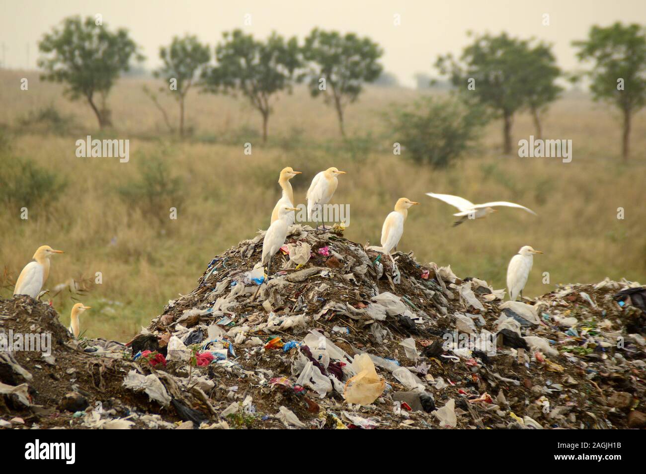 Big garbage land. Land and air pollution Stock Photo - Alamy