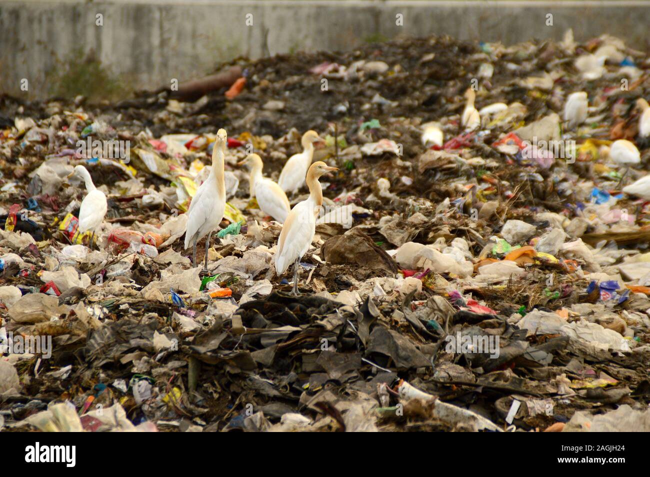 Big garbage land. Land and air pollution Stock Photo - Alamy