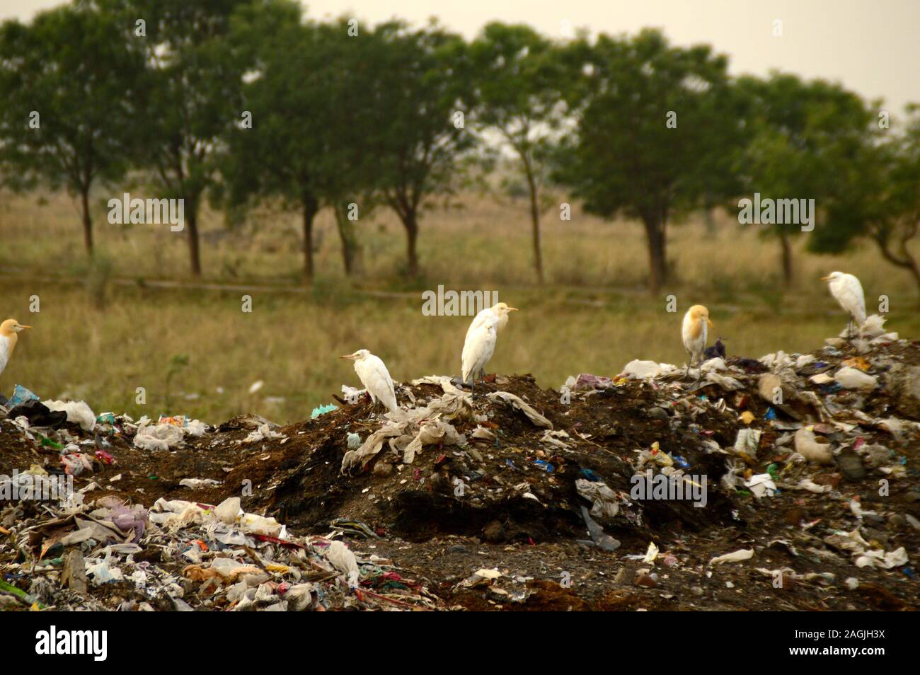 Big garbage land. Land and air pollution Stock Photo - Alamy