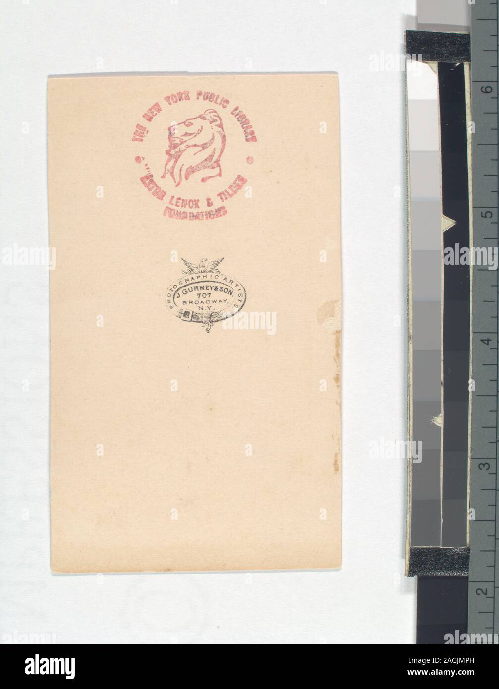 Michael Foley.; Michael Foley Stock Photo - Alamy