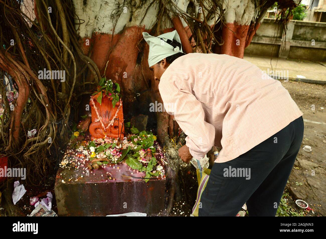 NAGPUR, MAHARASHTRA, INDIA - AUGUST 01 : People worship of Snake God in ...