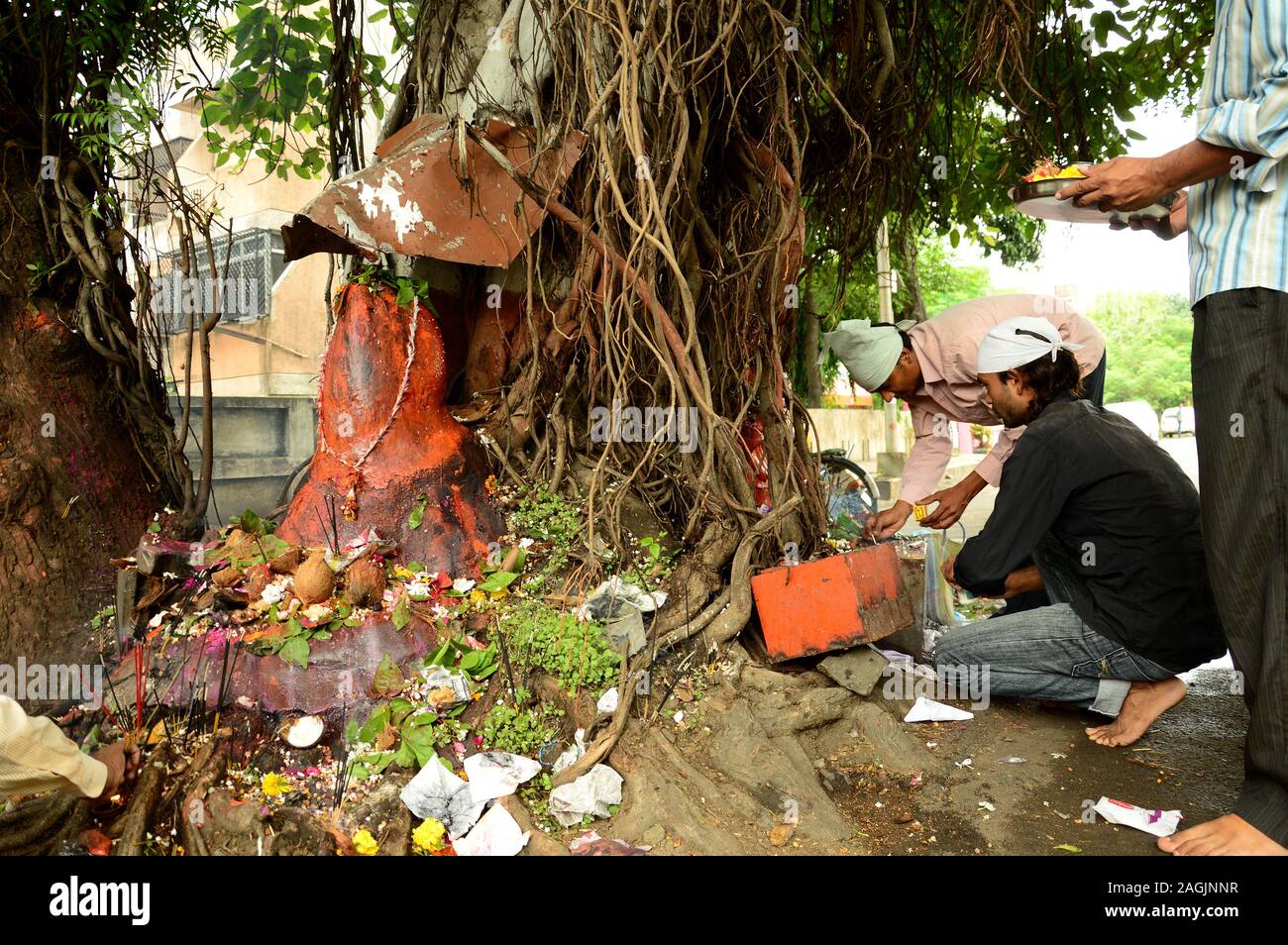 NAGPUR, MAHARASHTRA, INDIA - AUGUST 01 : People worship of Snake God in ...