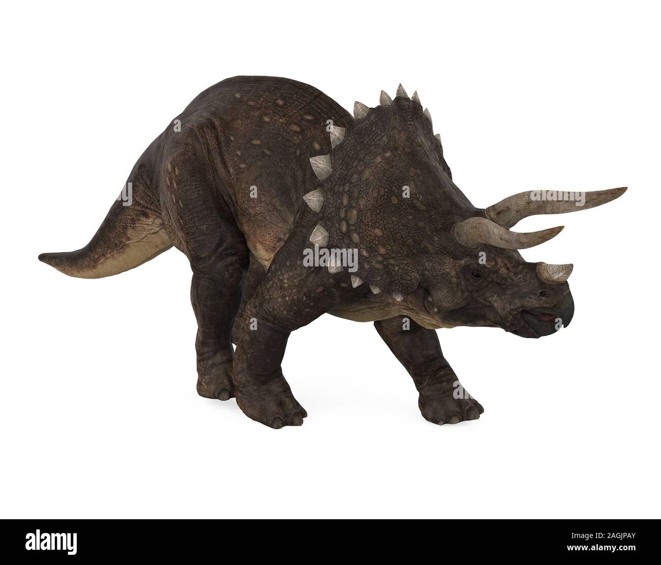 Triceratops dinosaur 3d render hi-res stock photography and images - Alamy