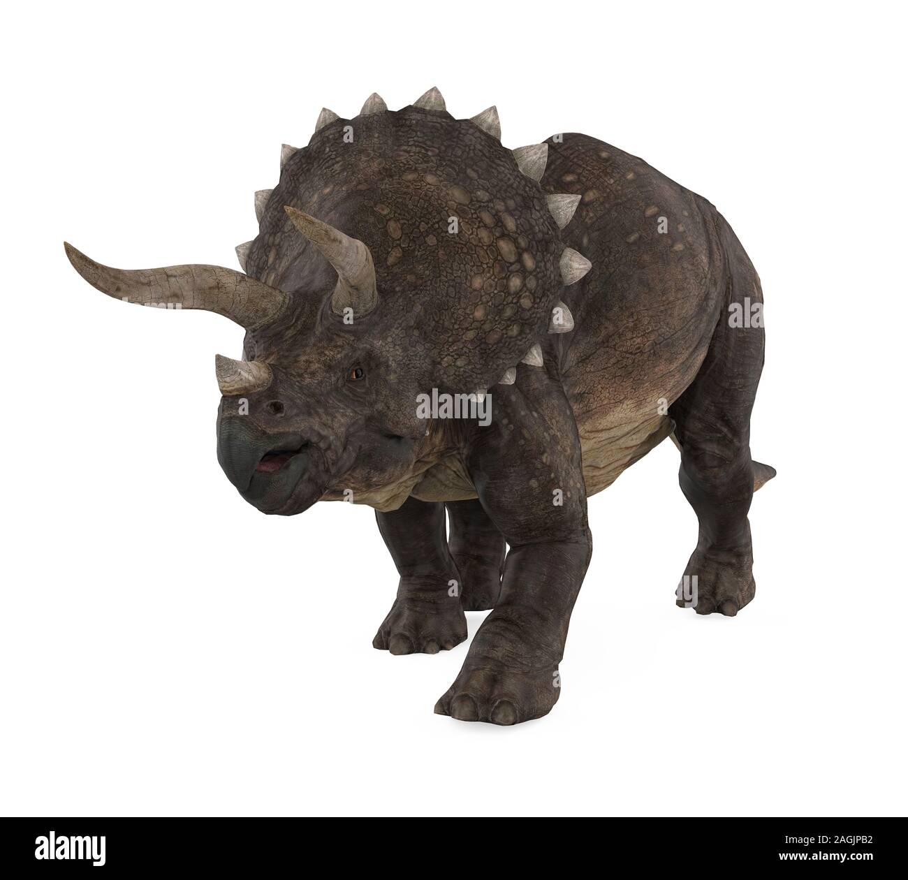 Triceratops dinosaur 3d render hi-res stock photography and images - Alamy