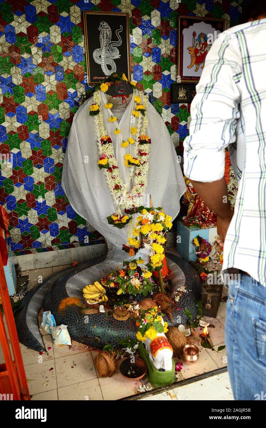 NAGPUR, MAHARASHTRA, INDIA - AUGUST 01 : People worship of Snake God in ...