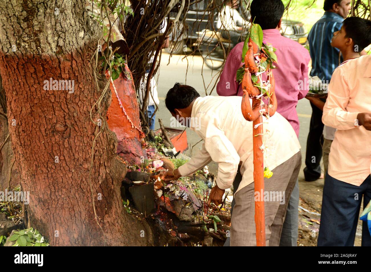 NAGPUR, MAHARASHTRA, INDIA - AUGUST 01 : People worship of Snake God in ...