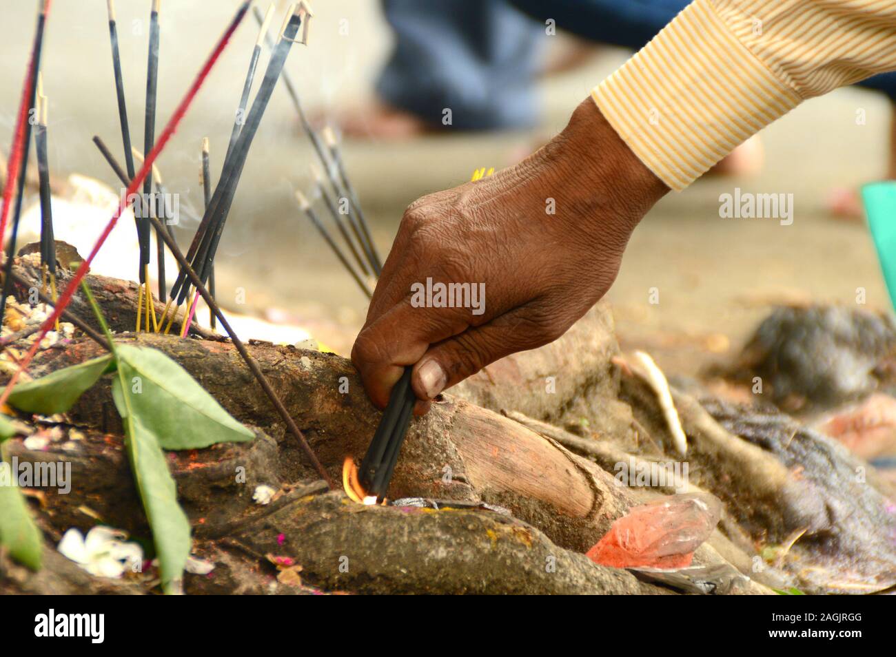 NAGPUR, MAHARASHTRA, INDIA - AUGUST 01 : People worship of Snake God in ...