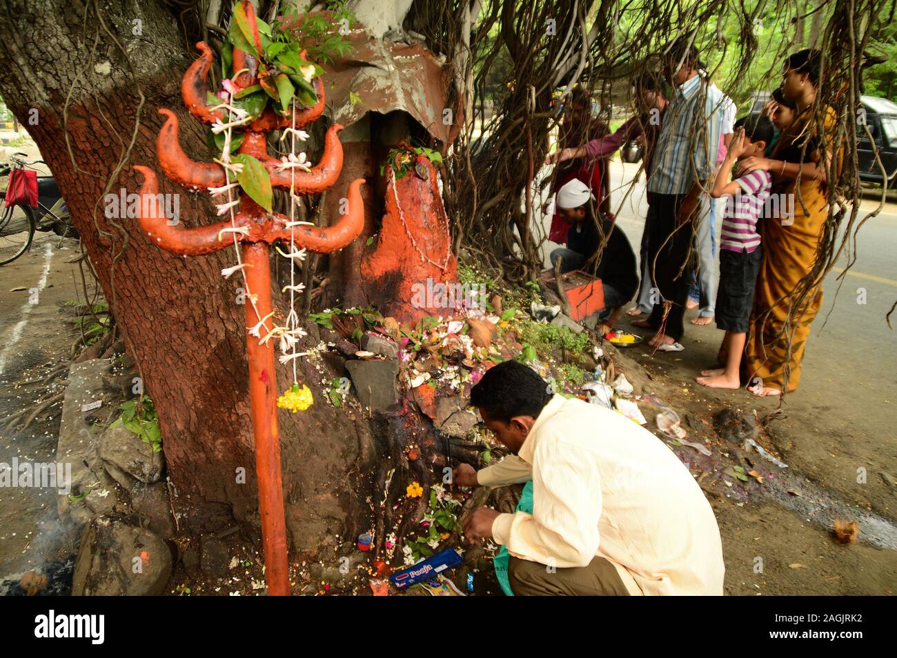 NAGPUR, MAHARASHTRA, INDIA - AUGUST 01 : People worship of Snake God in ...