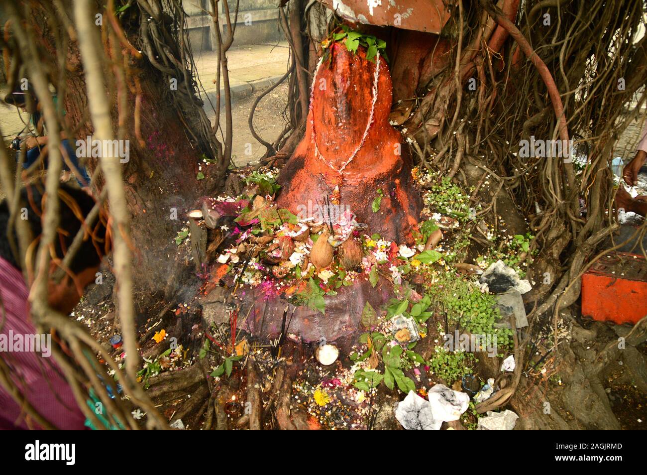 NAGPUR, MAHARASHTRA, INDIA - AUGUST 01 : People worship of Snake God in ...