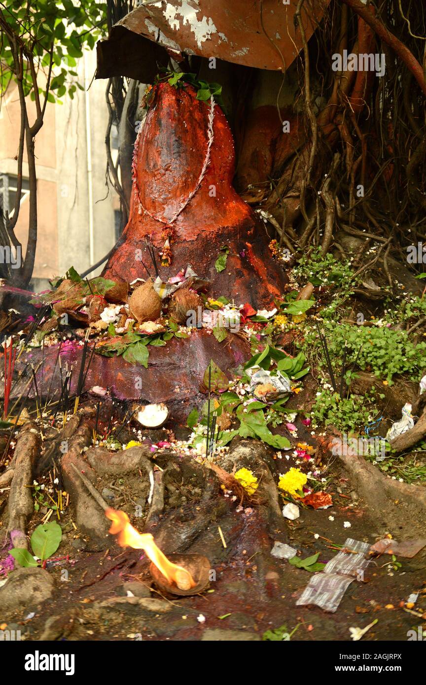 NAGPUR, MAHARASHTRA, INDIA - AUGUST 01 : People worship of Snake God in ...