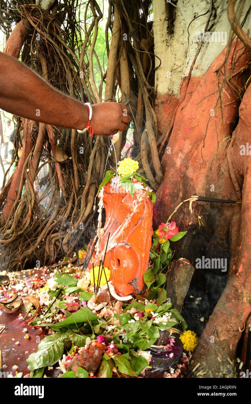 NAGPUR, MAHARASHTRA, INDIA - AUGUST 01 : People worship of Snake God in ...